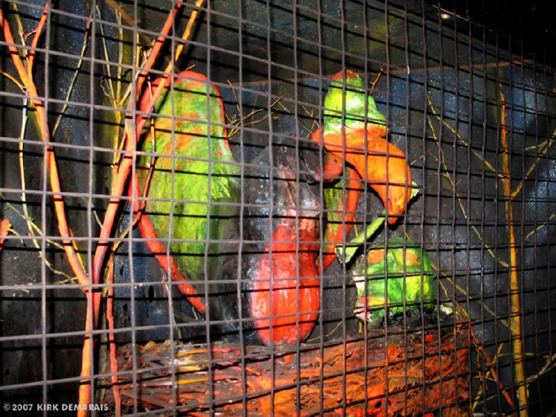 Bell’s Amusement Park – Tulsa, Oklahoma – The Bill Tracy Project