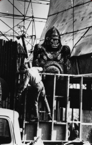 Palisades Park – Palisades, New Jersey – The Bill Tracy Project